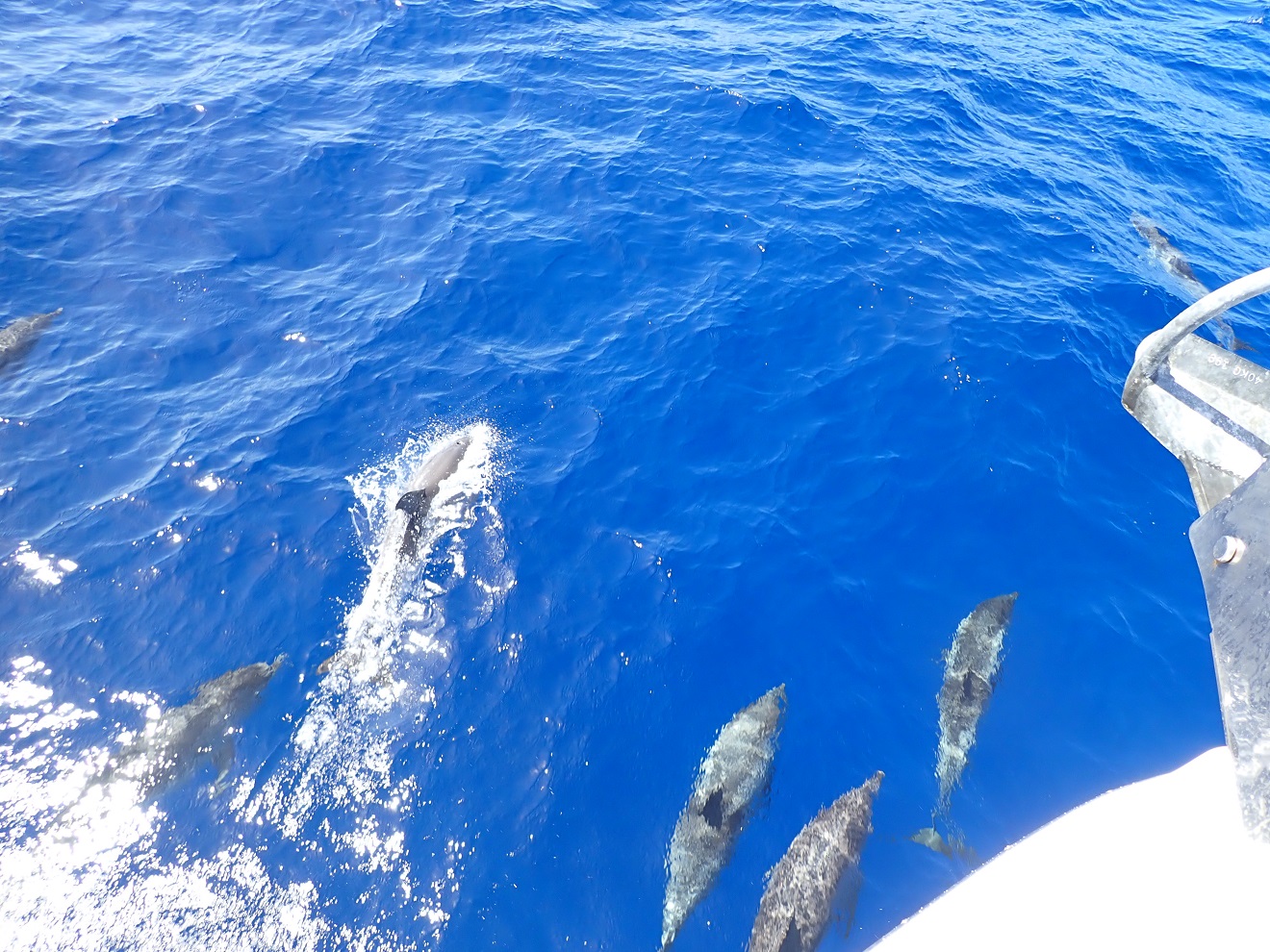 eleuthera to exumas