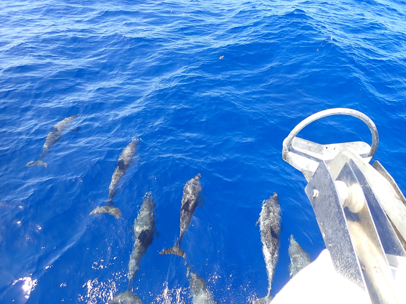 eleuthera to exumas